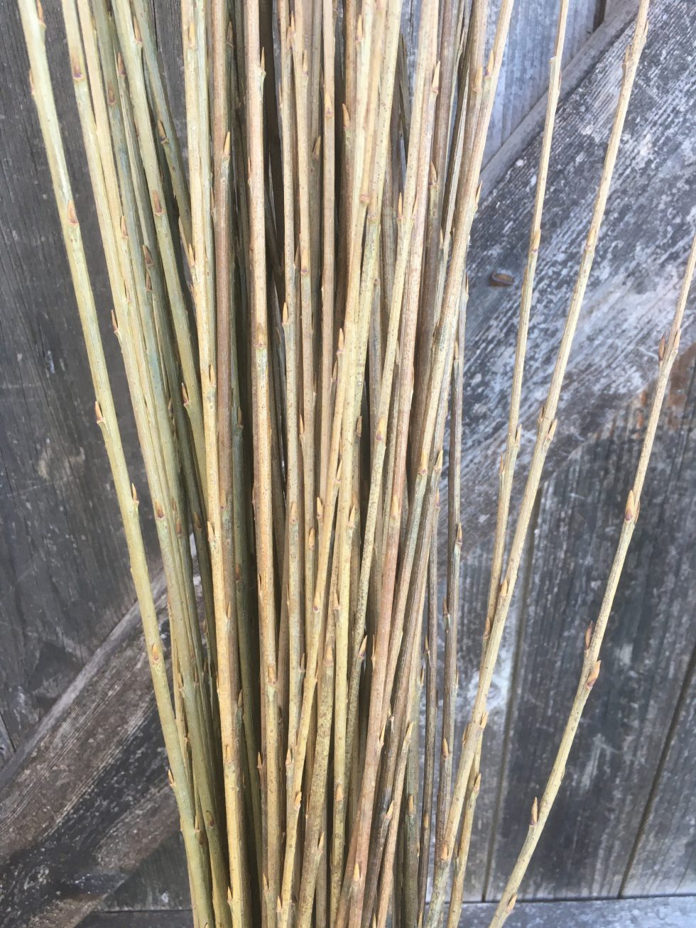 Other Willow Prices - Willows Nursery